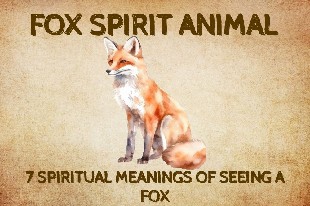 7 Spiritual Meanings of Seeing a Fox