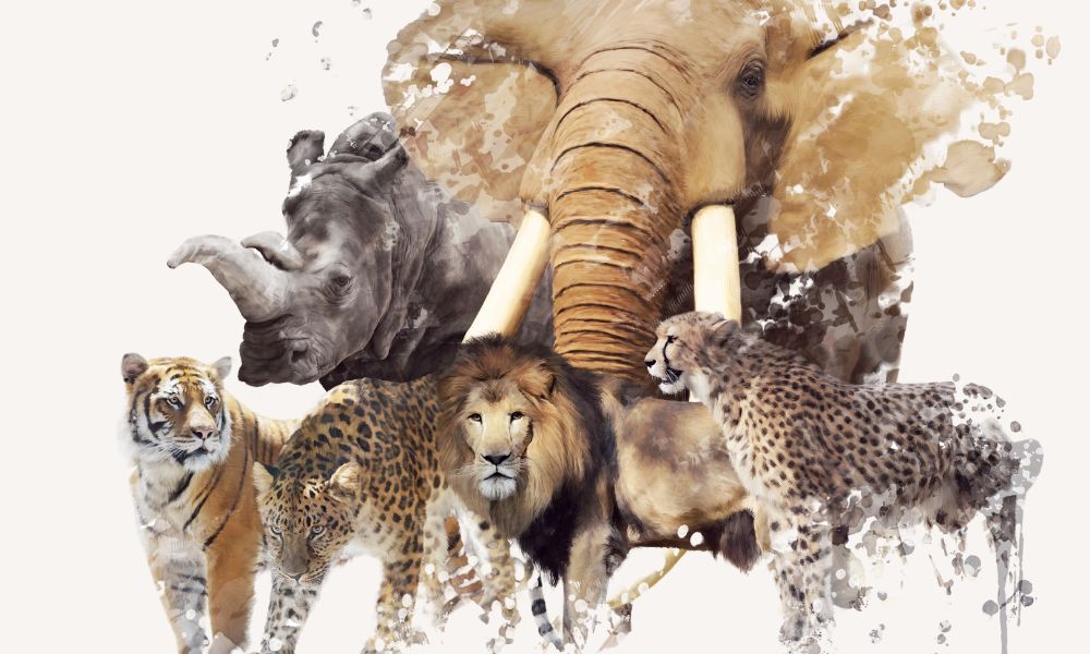 Spirit Animal Test FREE | Spirit Animal Quiz | What Is My Spirit Animal?