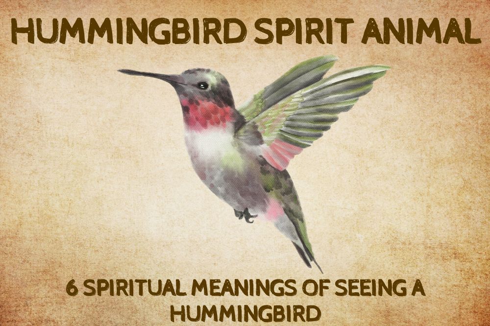 Ram Spirit Animal: What Does a Ram Symbolize?