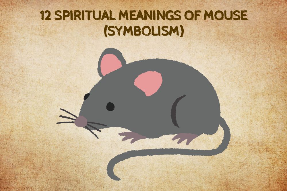 12 Spiritual Meanings of Mouse (Symbolism)