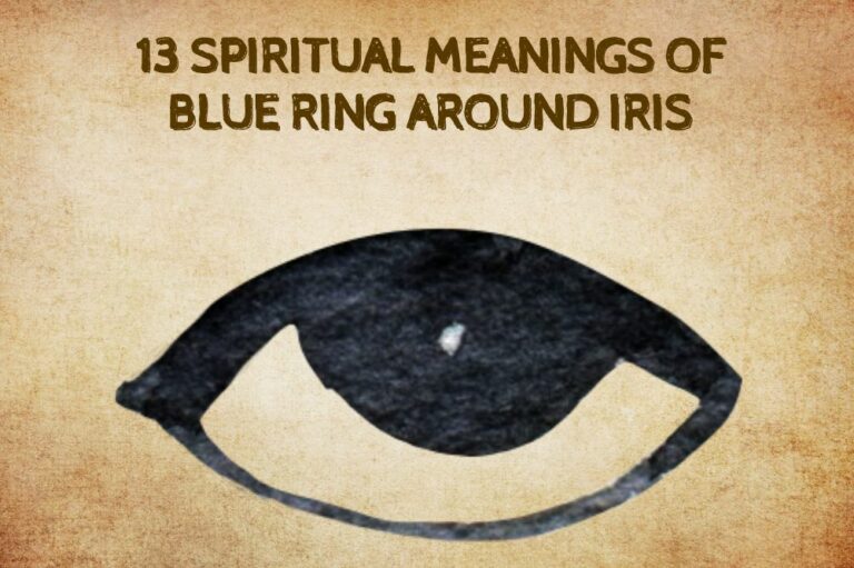 13 Spiritual Meanings of Blue Ring Around Iris