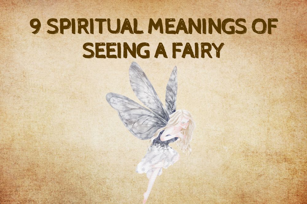 10 Spiritual Meanings Of Seeing a White Pigeon